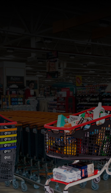 Home - Carts in Motion